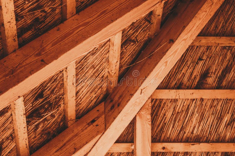 Textured Thatched Roof Interior with Exposed Light Timber Framework ...