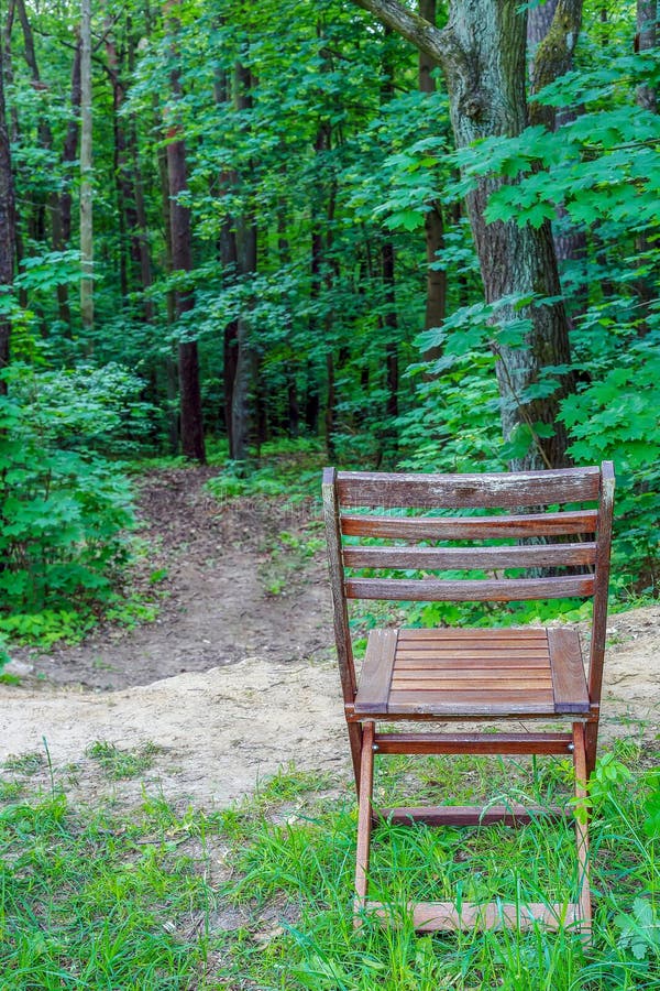 Wooden Chair Facing the Forest Stock Image - Image of bench, branch ...