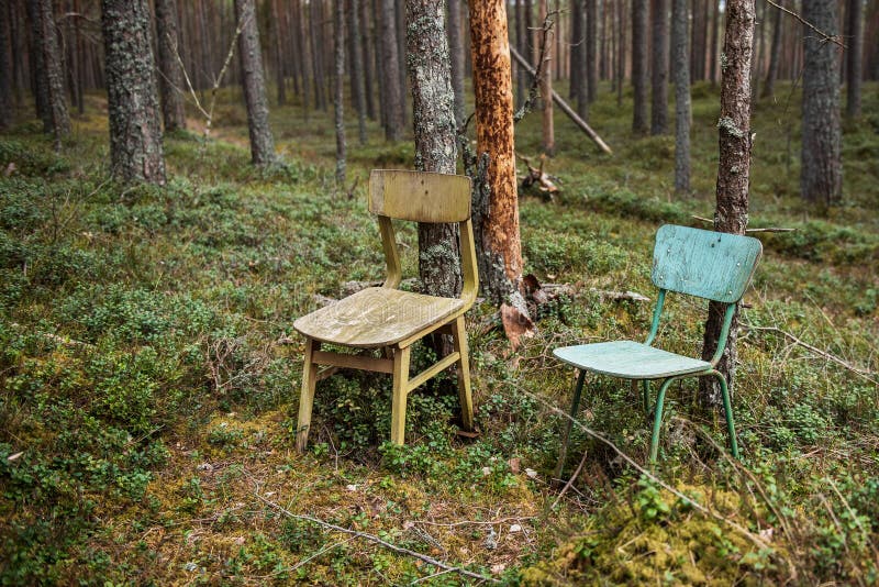 Wooden Chairs in the Forest Stock Image - Image of forest, chair: 218648311