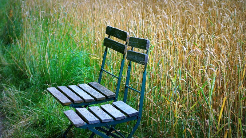 Red Chairs in a Wheat Field Stock Image - Image of wheat, summer: 77895397