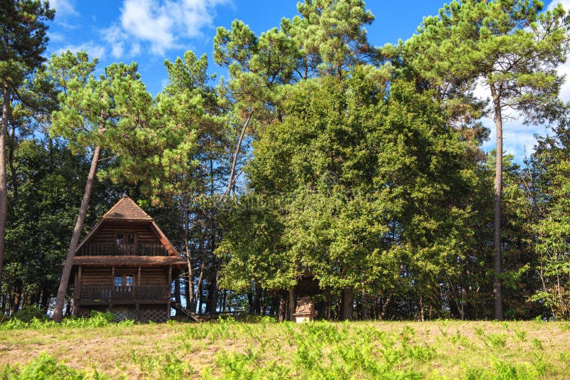 Wooden Chalet in the Forest Stock Photo - Image of beautiful, house ...