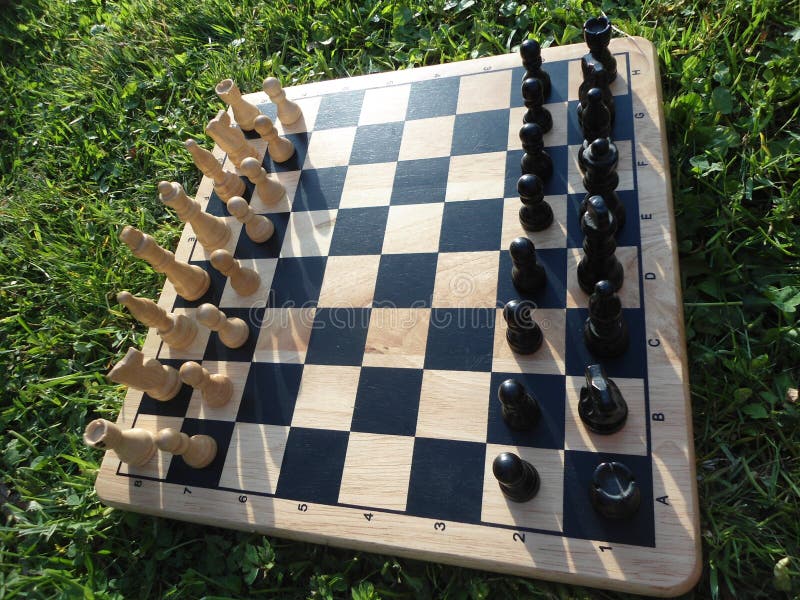 1,187 Chess Board Grass Stock Photos - Free & Royalty-Free Stock Photos ...