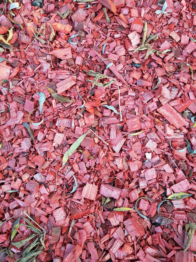 Red slivers stock image. Image of wooden, chips, garden - 129905623