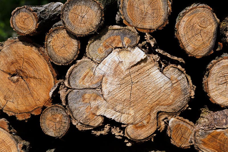 Wooden chumps stock photo. Image of background, wall - 75968206