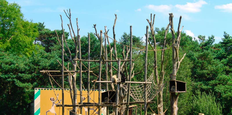 Wooden Climbing Structure in a Natural Setting Stock Image - Image of ...