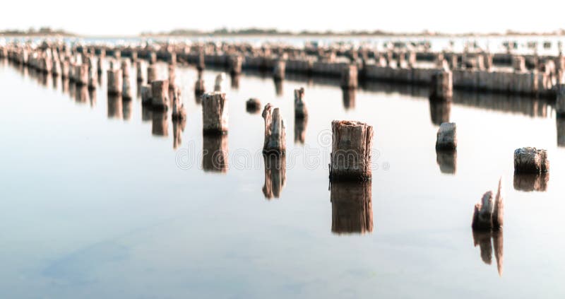 Wooden Columns in a Calm Surface of the Water Stock Photo - Image of ...