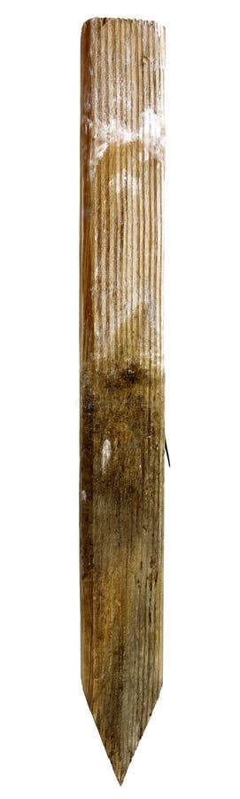 Wooden Construction Survey Stake Stock Photo - Image of sharpened ...