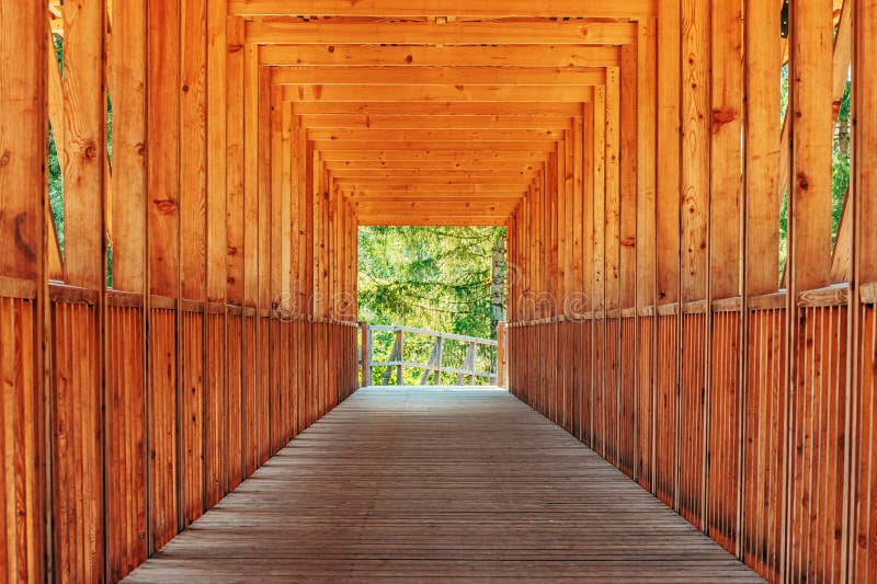 Wooden Construction of Timber Bridge and Tunnel with Green Wooded ...