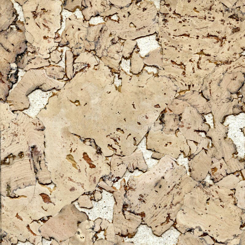 Wooden Cork Background. the Structure of Cork Coatings. Natural ... Wooden Cork Background. the Structure of Cork Coatings. Natural ...