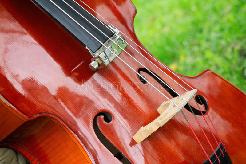 Wooden Corpus of a Chello with Strings and the F Holes Stock Photo ...
