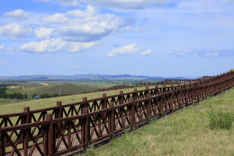 Wooden corridor stock image. Image of pavement, nature - 173774457