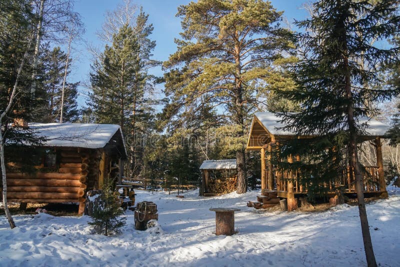 Wooden Cottage in Deep Jungle in Sunny Day in Winter Stock Photo ...