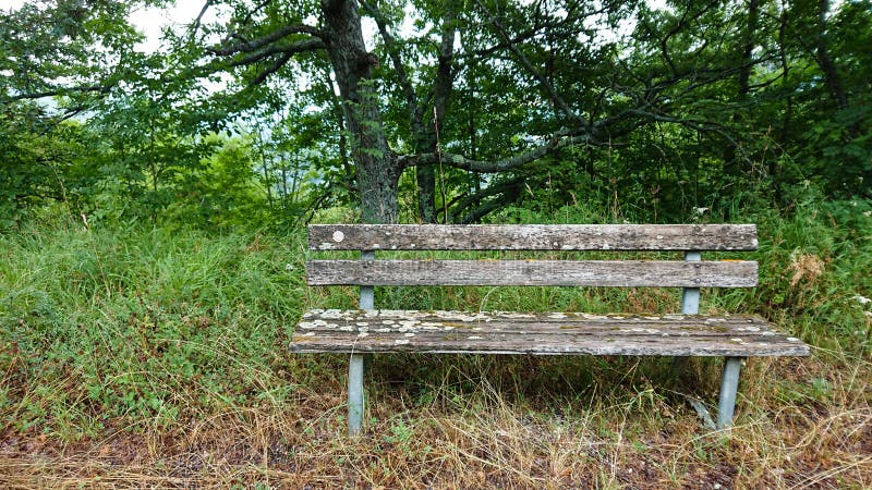 Bench on the country road stock image. Image of bench - 10914649