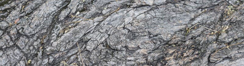 Wooden Craft Grey Natural Surface As a Comfortable Background Wall or ...