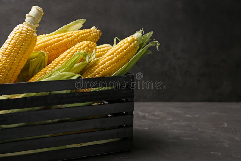 Wooden Crate with Tasty Fresh Corn Cobs on Grey Table, Space for Text ...