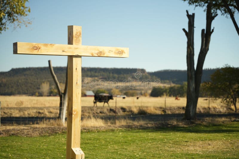 Wooden Cross in the Field in Front of the Cattle Stock Photo - Image of ...