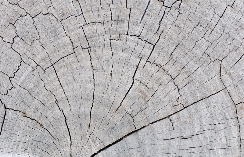 stock image. Image of detail, natural, grain, cross - 58827595