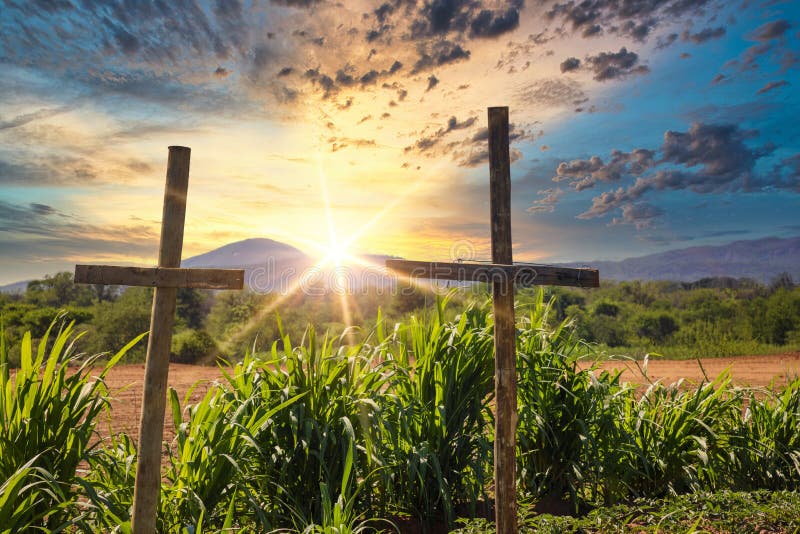 Wooden crosses stock image. Image of good, landscape - 201273931