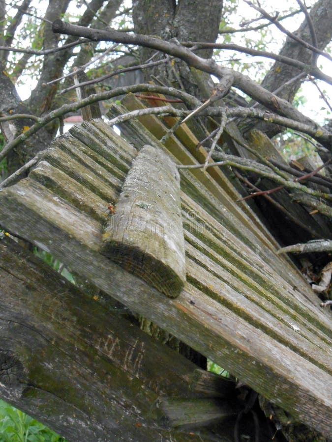 Wooden crumbling fence stock photo. Image of damp, material - 100614328