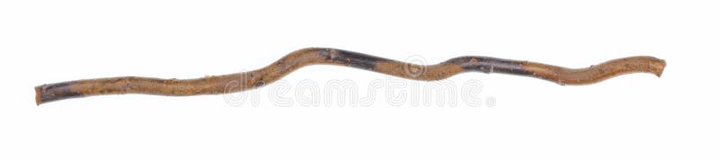 Wooden Curve Stick Isolated on White Stock Image - Image of garden ...