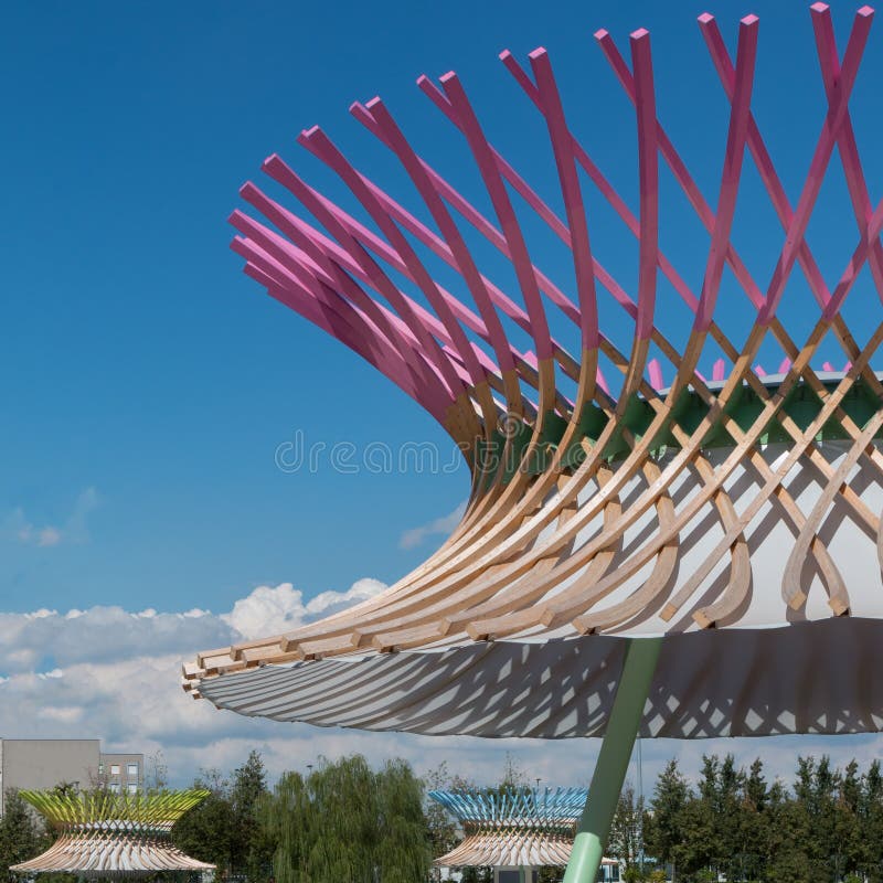 Wooden Curved Structure: Building with Modern Architectural Design ...