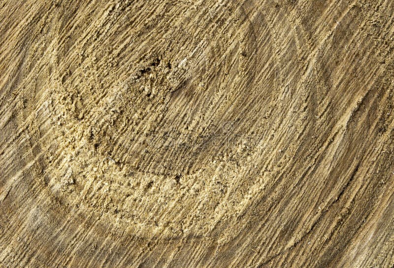 Wooden cut texture stock image. Image of textured, trees - 32798813