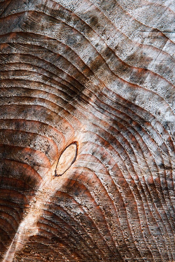 Wooden Dark Background with Tree Rings Stock Photo - Image of trunk ...
