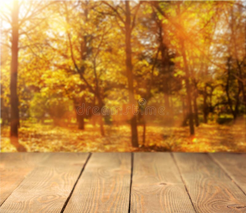 Wooden deck background stock photo. Image of sunny, perspective - 62041270