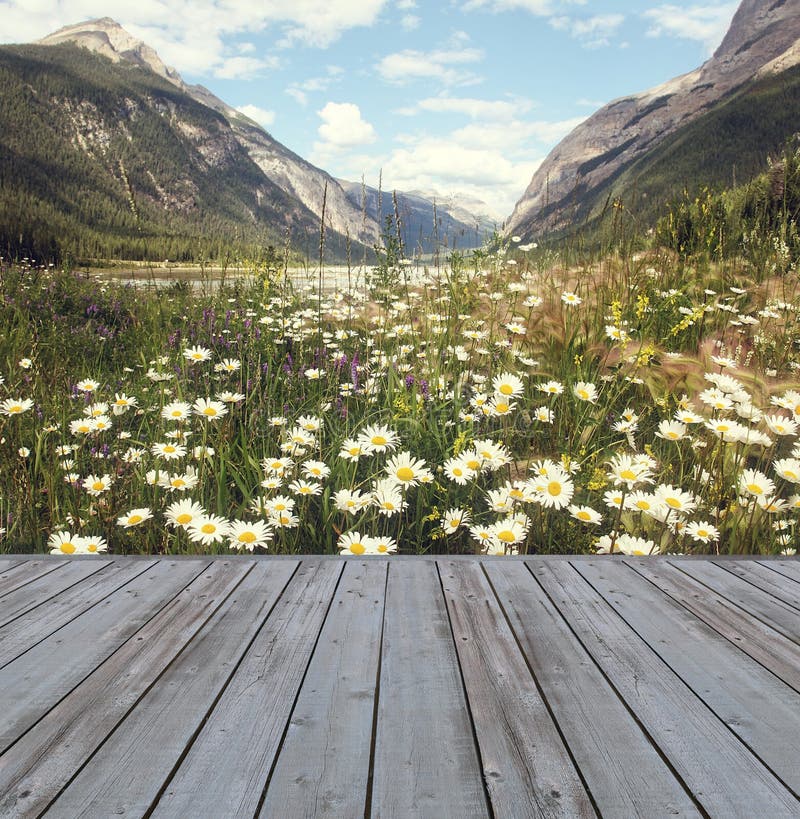 Wooden Deck with Forest Trees and Flowers Stock Image - Image of patio ...