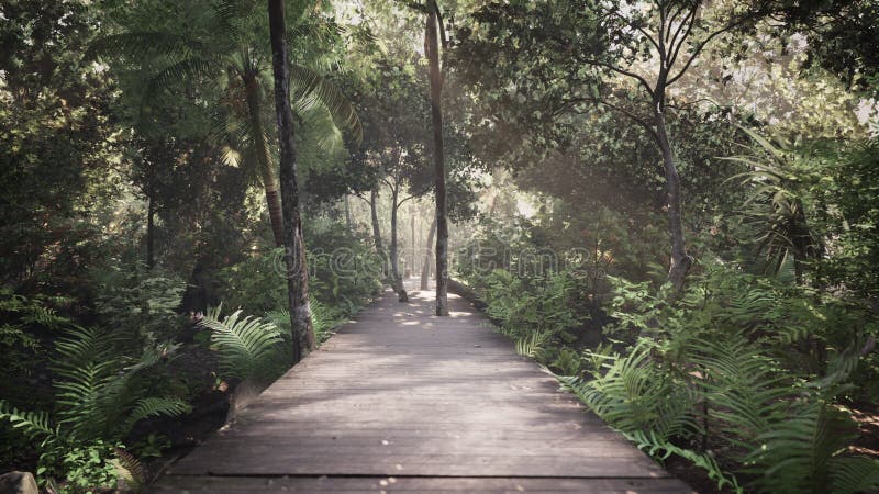 Wooden Deck Path in the Forest Stock Illustration - Illustration of ...