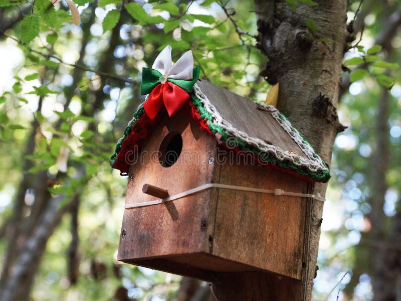 Wooden Decorated Birdhouse on a Tree in the Forest Stock Photo - Image ...