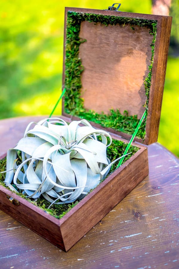 Wooden Design Gift-box on Board Stock Photo - Image of gift, compose ...