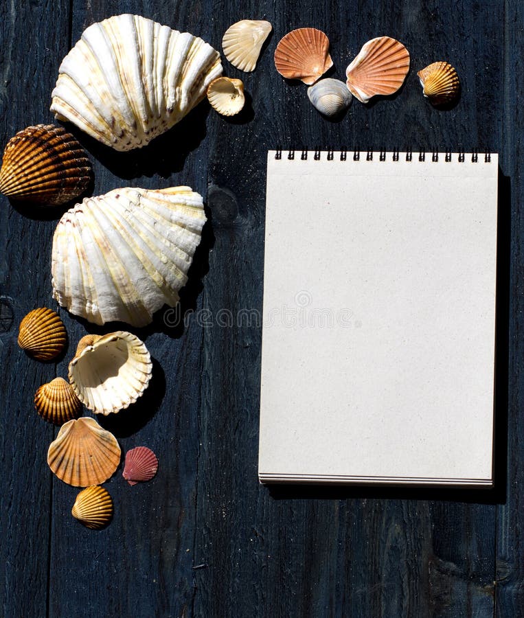 Wooden Desk with Sea Shells and White Notepad Stock Photo - Image of ...