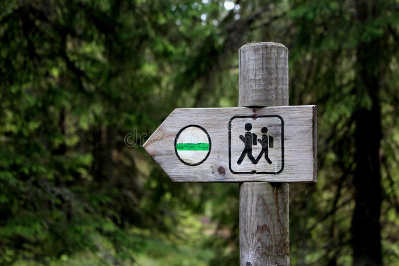 Wooden Direction Sign Facing Left in the Deep Forest. Stock Photo ...