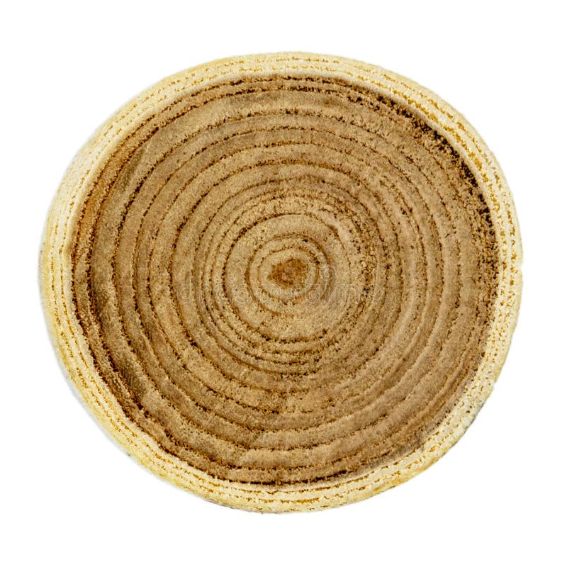 Wooden Discs from a Branch or Trunk Stock Image - Image of rustic ...