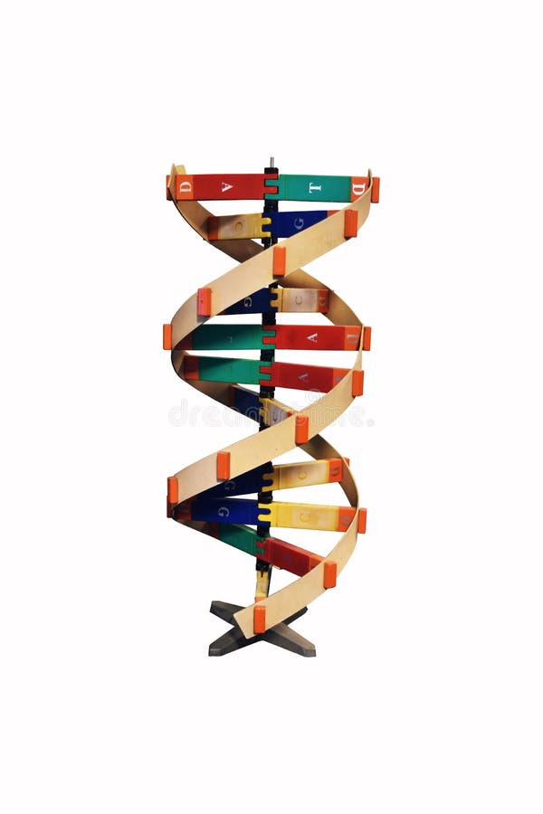 DNA Model Picture. Image: 9403976