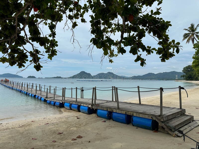 Wooden Dock Extending Over Calm Waters at a Tropical Beach Surrounded ...