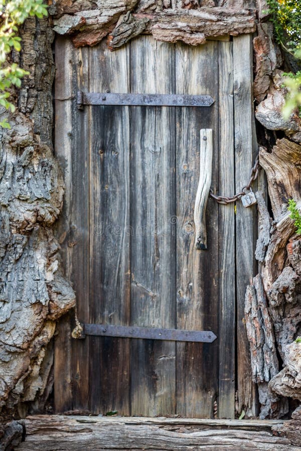 Door into the tree stock photo. Image of conceptual, wooden - 41844848