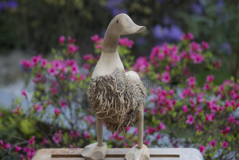 Duck with flowers stock photo. Image of color, head, flower - 20569392