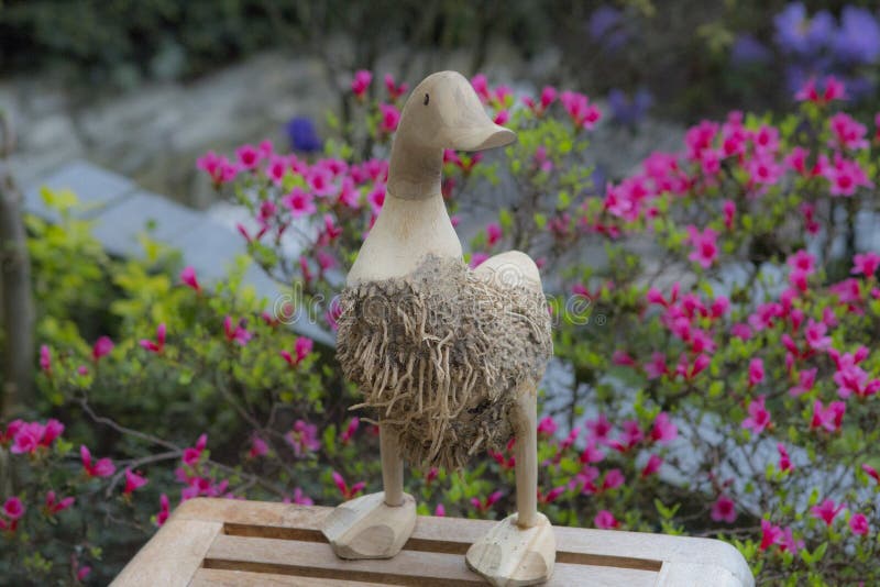 Duck with flowers stock photo. Image of color, head, flower - 20569392