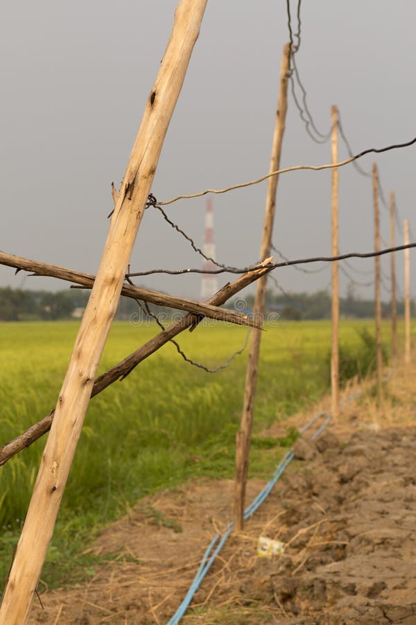 Wooden Electricity Post stock image. Image of power, local - 29708477