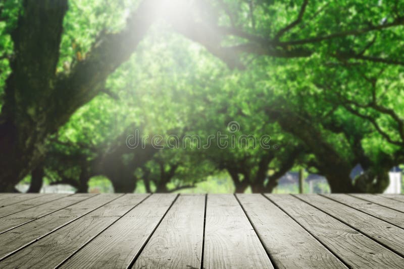 Wooden Empty and Blur Forest Background. Stock Photo - Image of table ...