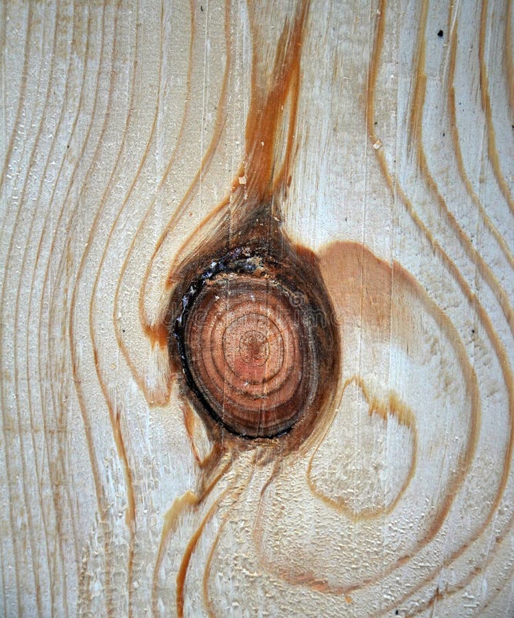 Woodgrain Eye stock photo. Image of circle, door, texture - 20148180