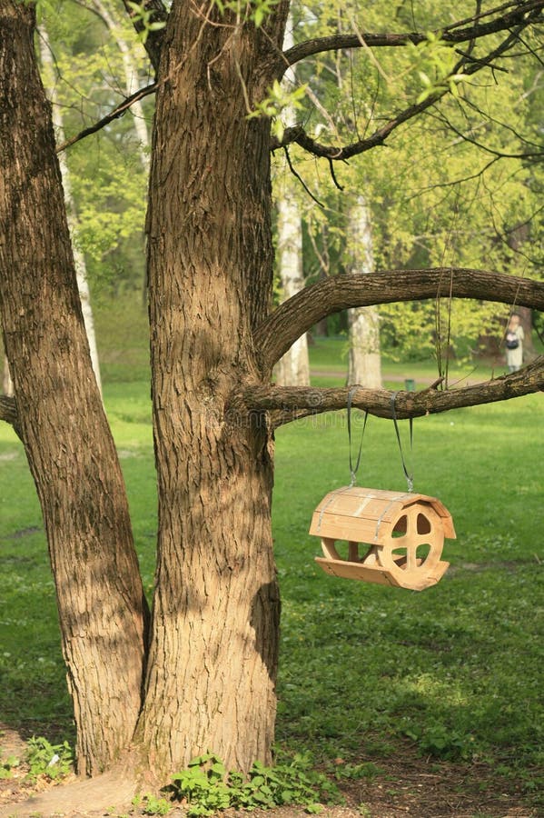 Wooden feeder on a tree stock image. Image of trunk - 248480645
