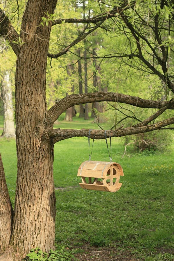 Wooden feeder on a tree stock photo. Image of spring - 248480124