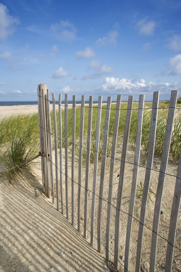 Wooden fence on beach. stock photo. Image of shore, environment - 2046064