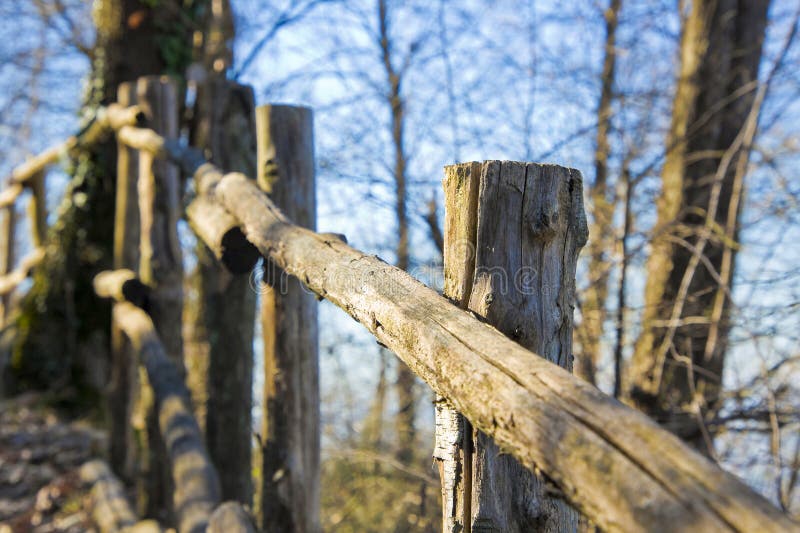 WOODEN FENCE BUILT with POLES Made from Tree Branches - a Timber ...