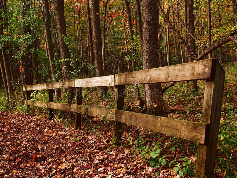 Wooden fence in a forest stock image. Image of trees - 102764431