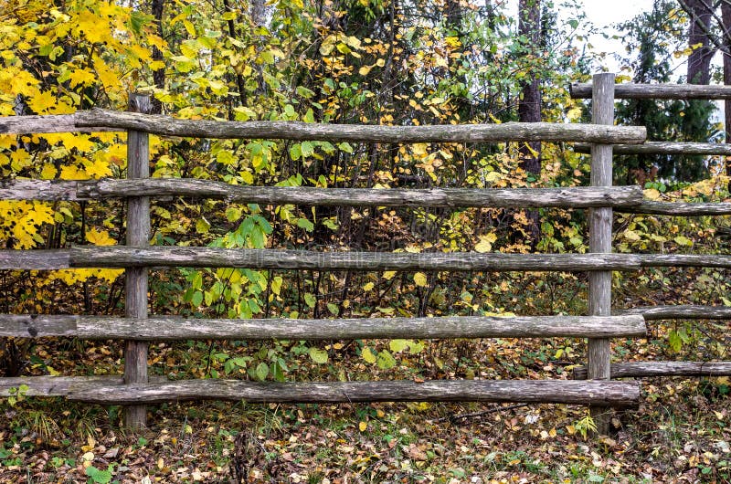Wooden fence in forest stock photo. Image of woodland - 38872812