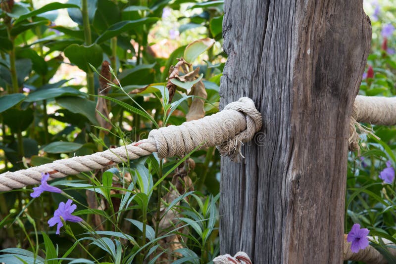 Wooden fence and knot rope stock image. Image of concrete - 92737193